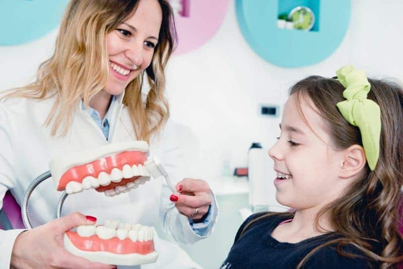 Time to Schedule Back-to-School Dental Checkups | Visit the Dentist